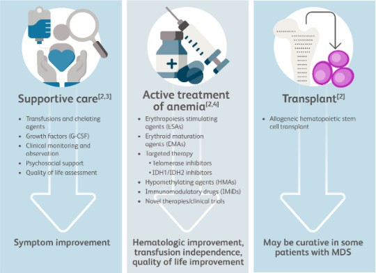 Goals | Treatment | Spotlight on Anemia