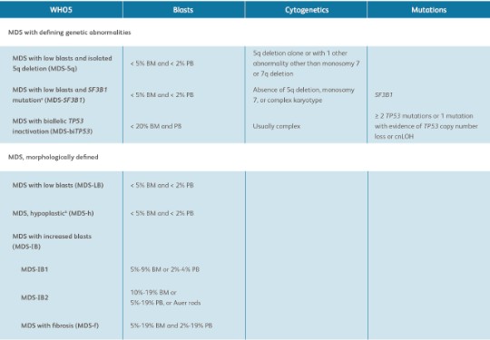 Classification | Diagnosis | Spotlight on Anemia
